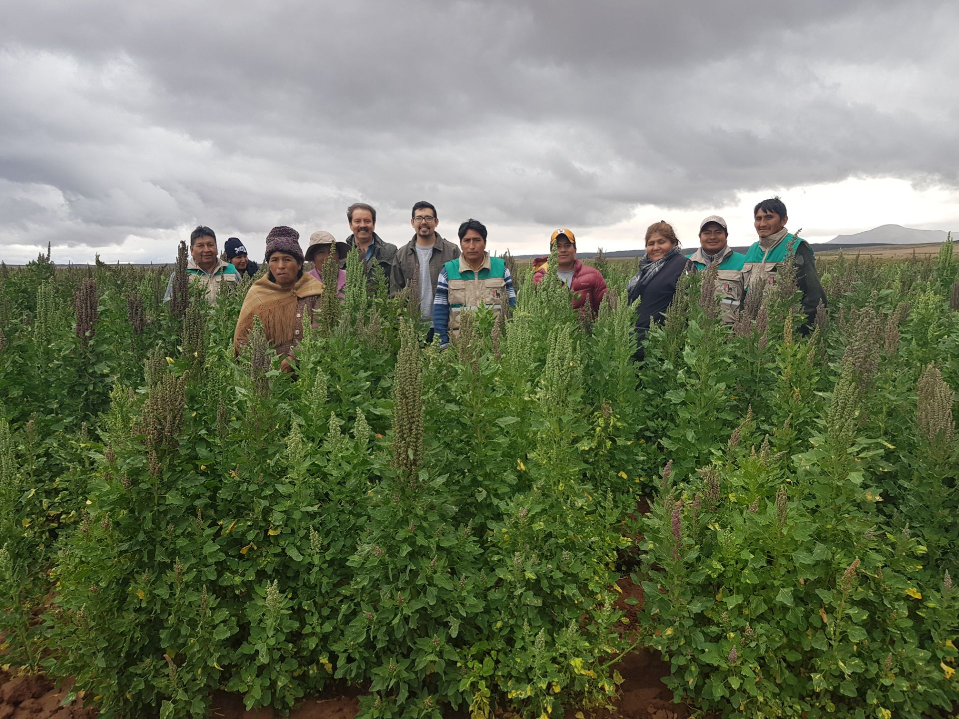 About Us – Andean Foods Organic